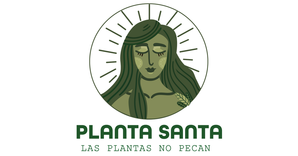 Planta Santa